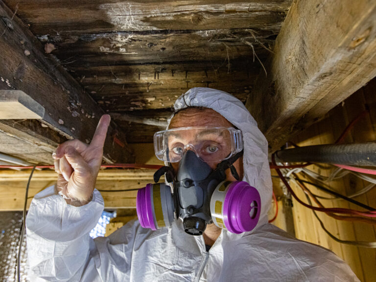 Hidden Dangers in Suspended Timber Floors: Why a Survey is Essential - Bramble & Wagg